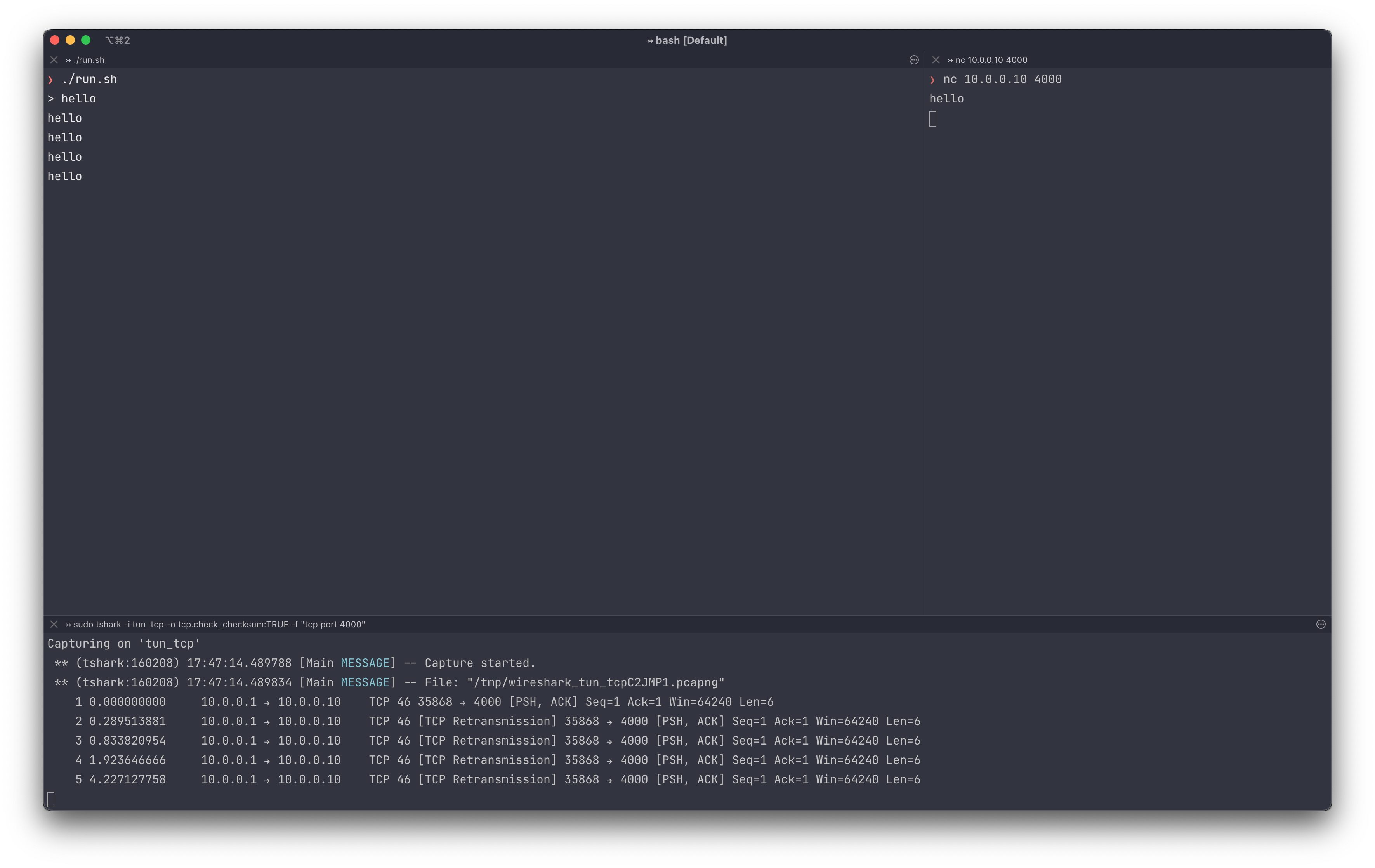Implementing Tcp In Rust Attempt 2 Golang • Timothy Andrew